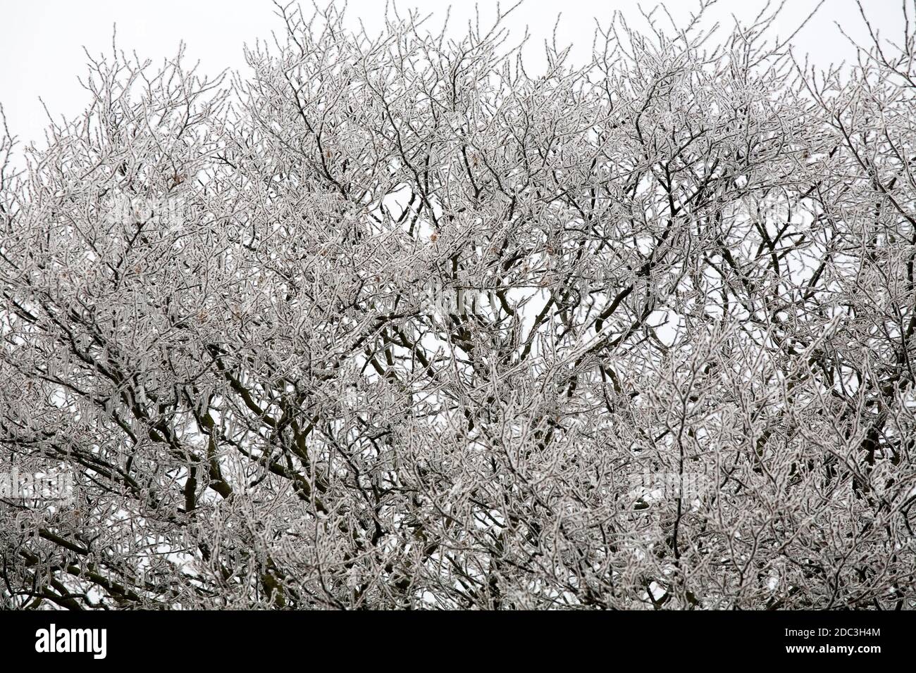 Grey winter sky hi-res stock photography and images - Alamy