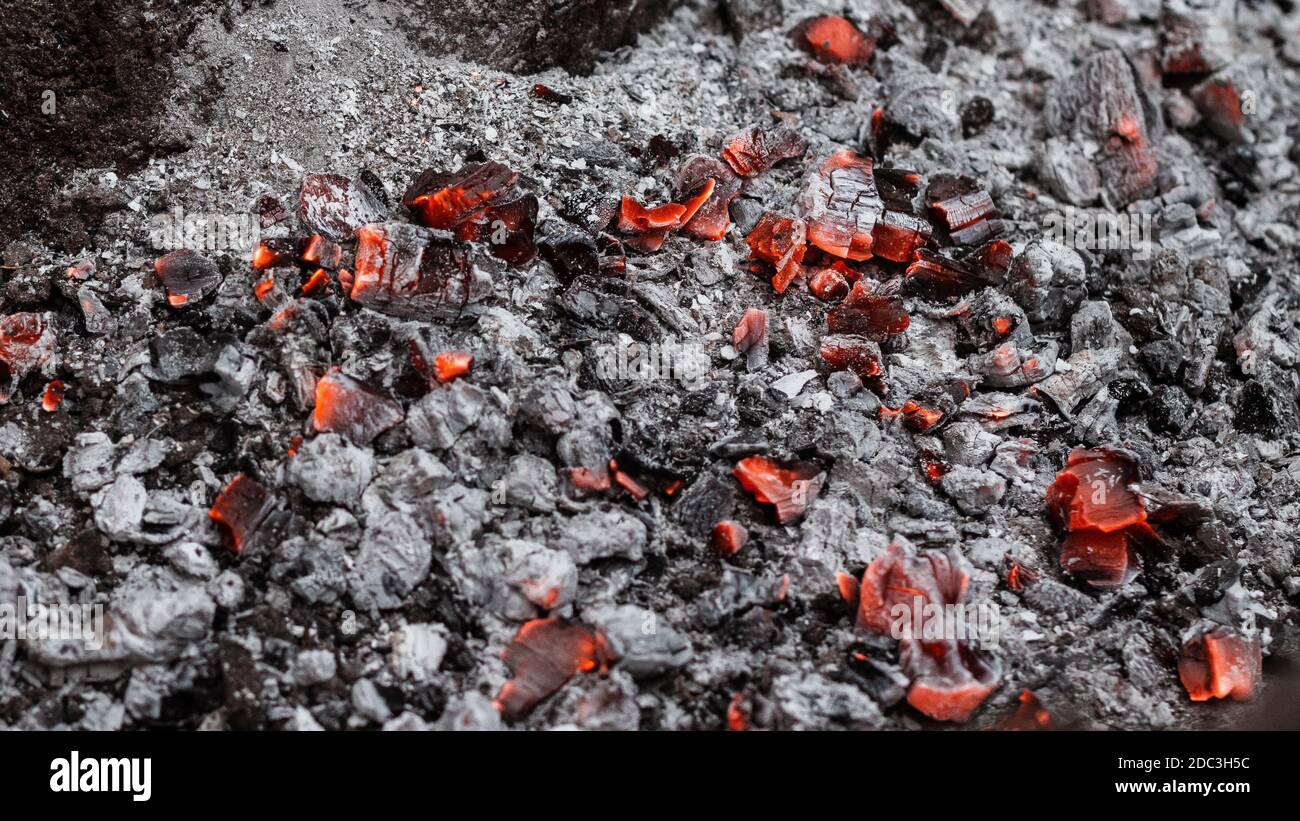 Fire burning tree branches, ember glowing Stock Photo - Alamy