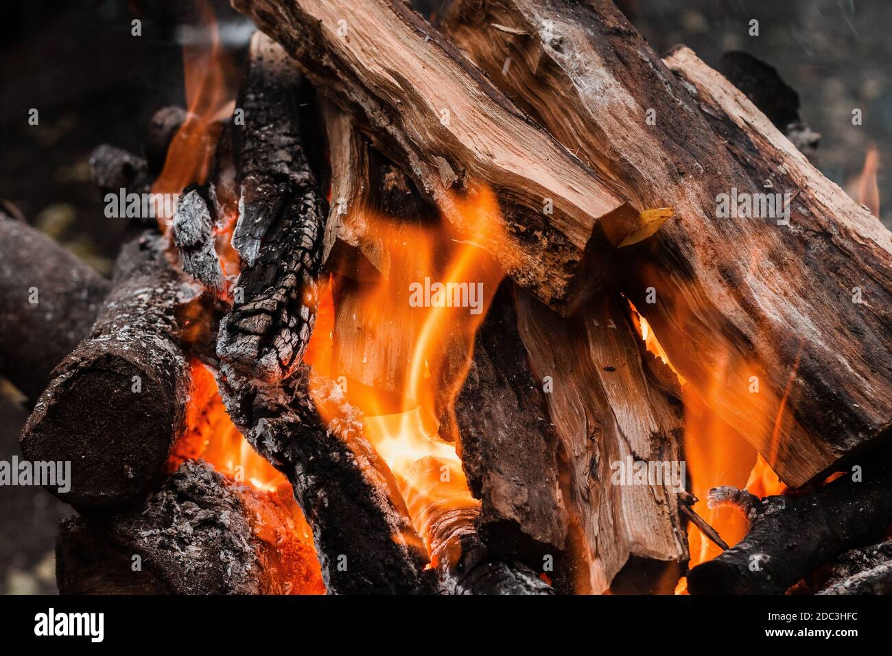 Fire burning tree branches, ember glowing Stock Photo - Alamy