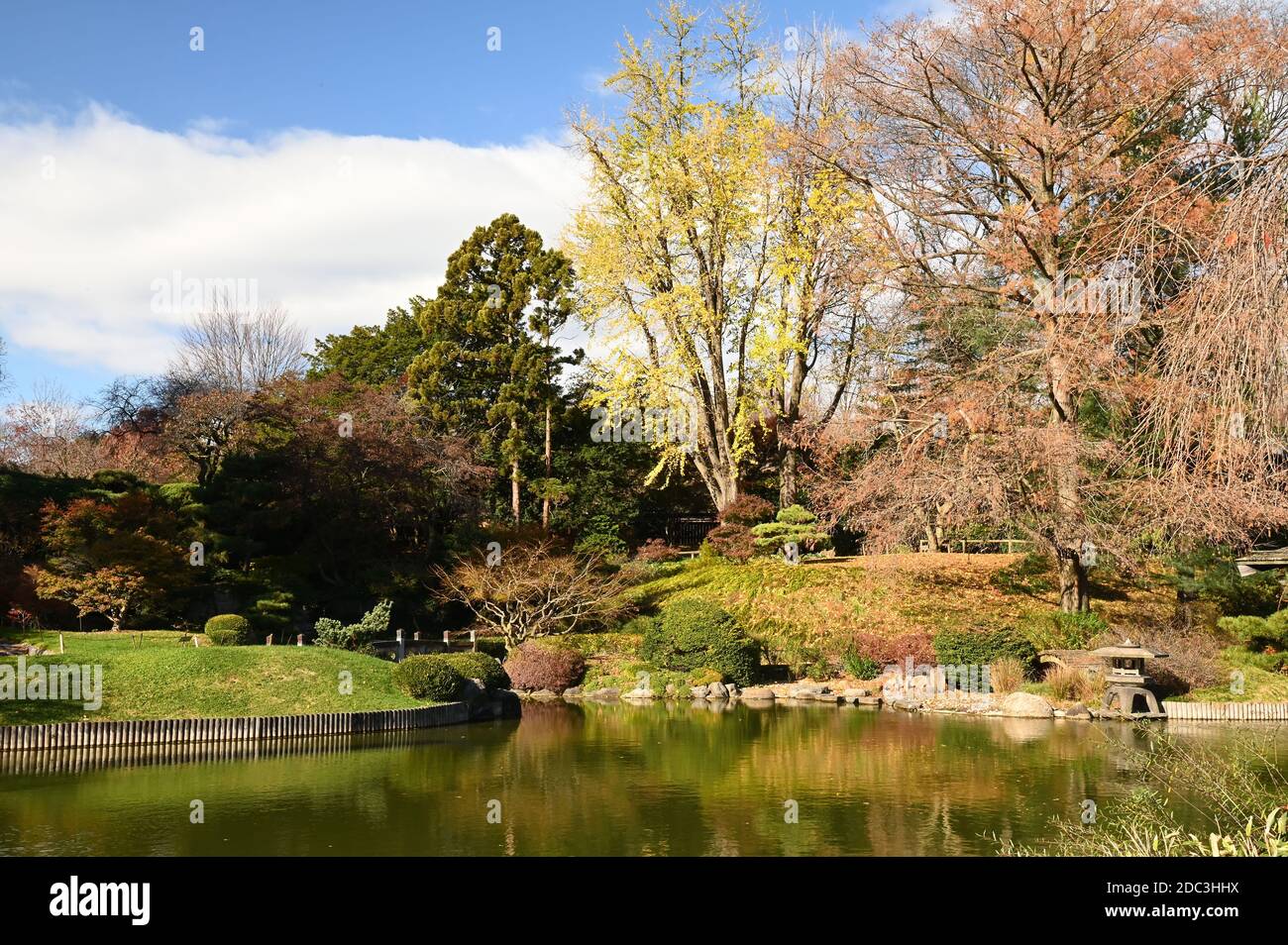 Autumn - Brooklyn Botanic Garden, Japanese Hill & Pond Garden Stock ...