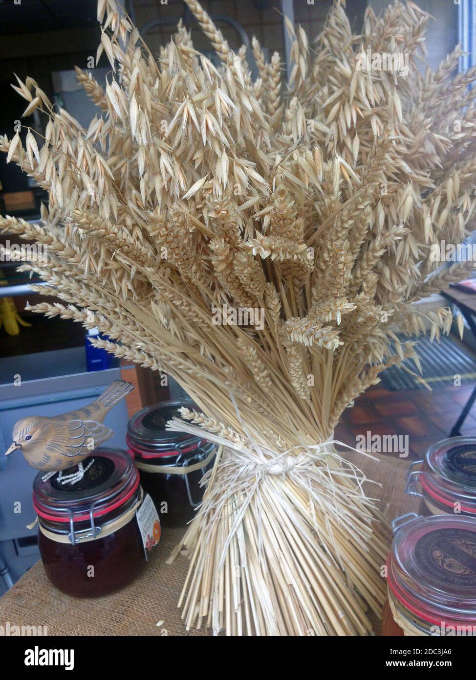 Ears of wheat hi-res stock photography and images - Alamy