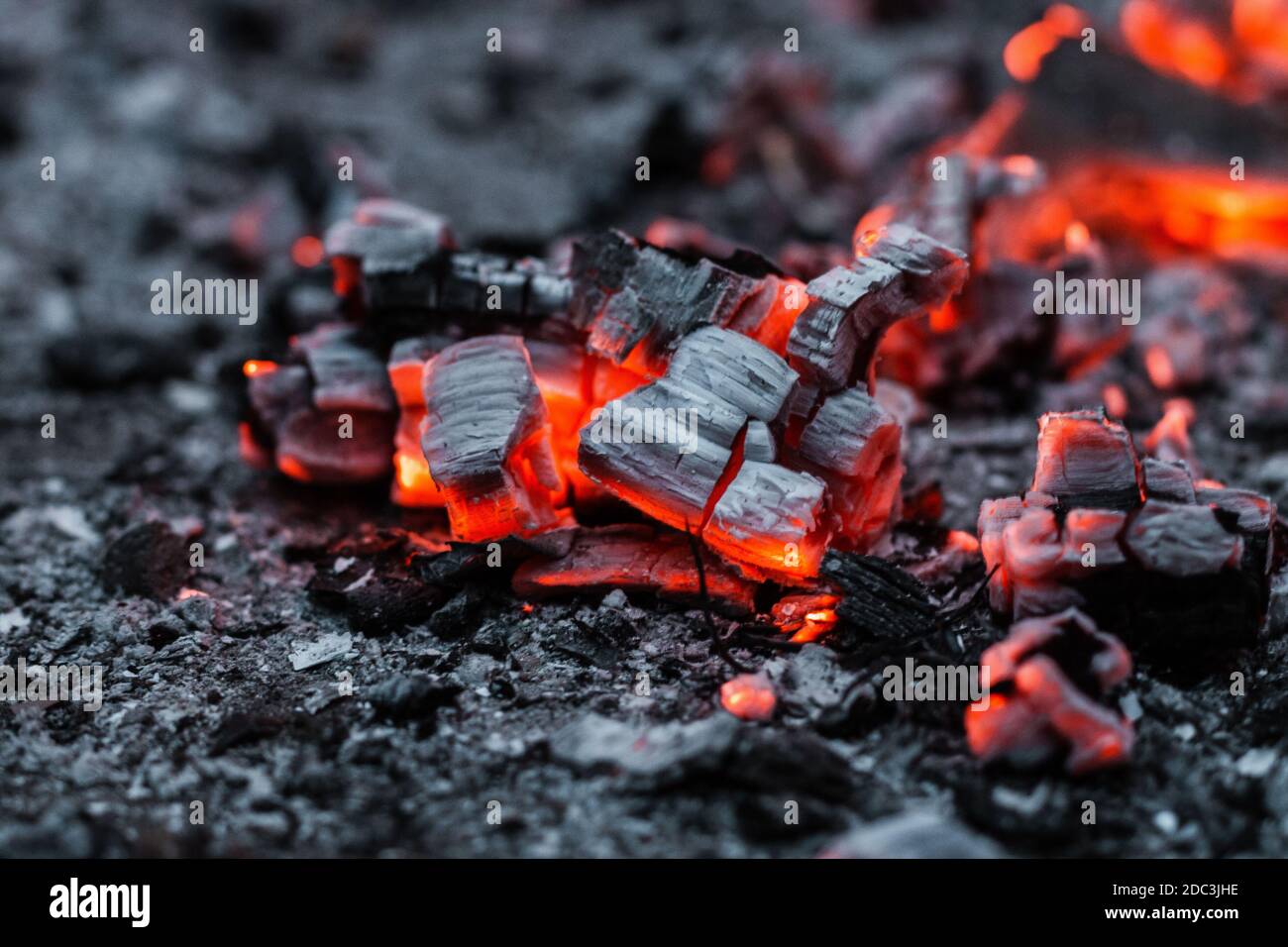 Fire burning tree branches, ember glowing Stock Photo - Alamy