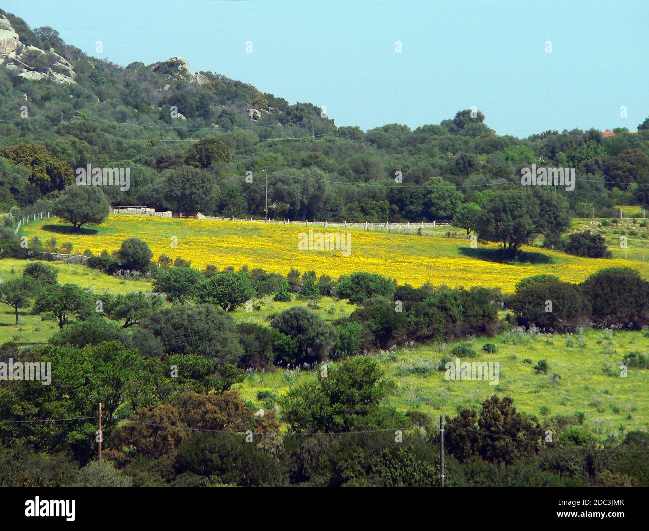 Sardinia countryside in spring Stock Photo - Alamy