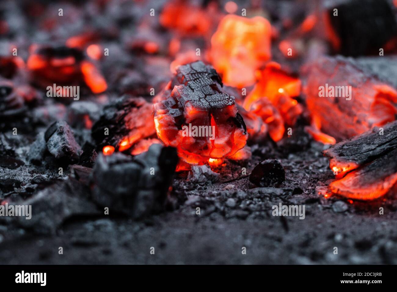 Fire burning tree branches, ember glowing Stock Photo - Alamy