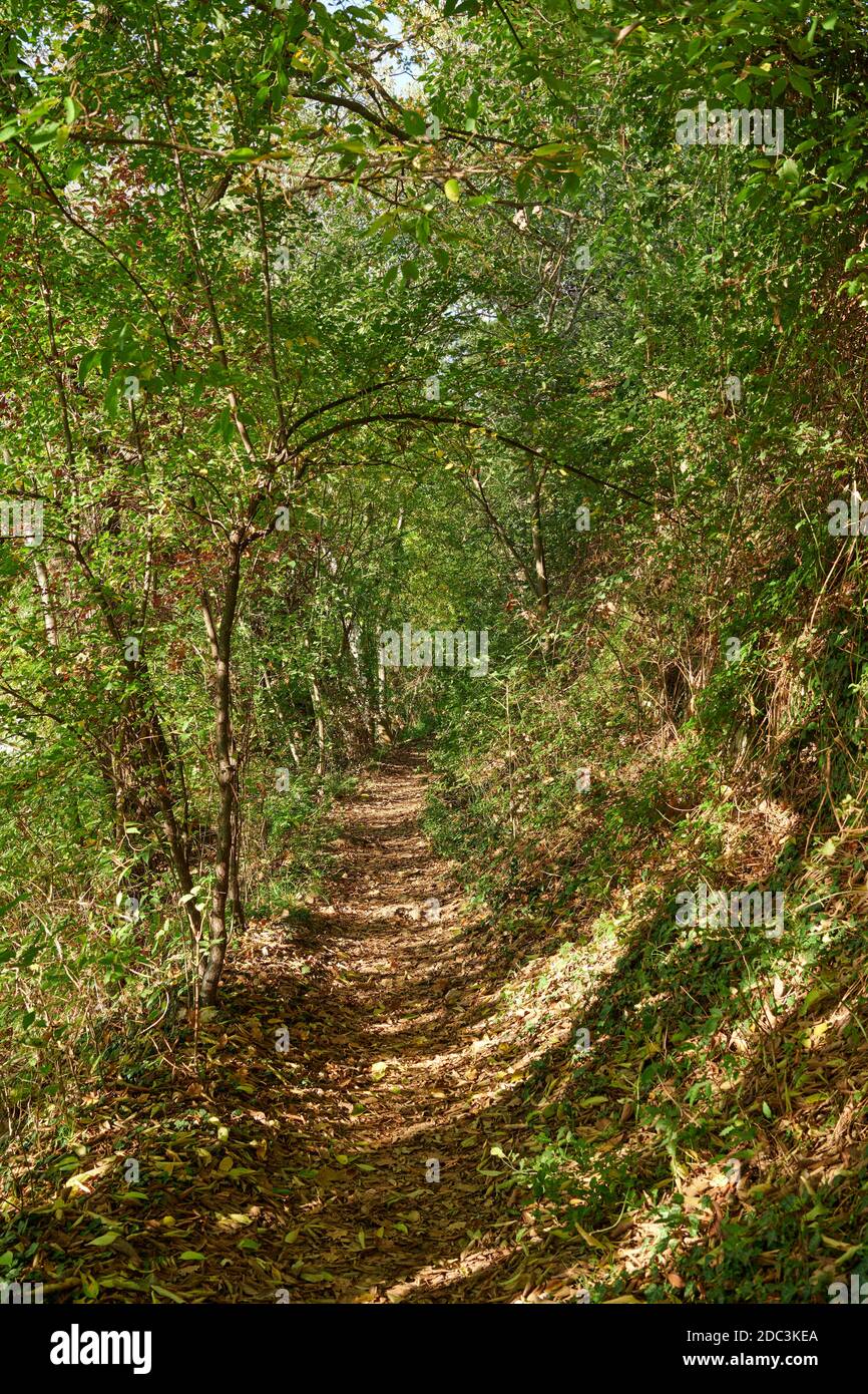 Coccaglio hi-res stock photography and images - Alamy