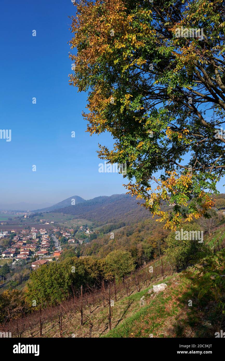 Coccaglio hi-res stock photography and images - Alamy