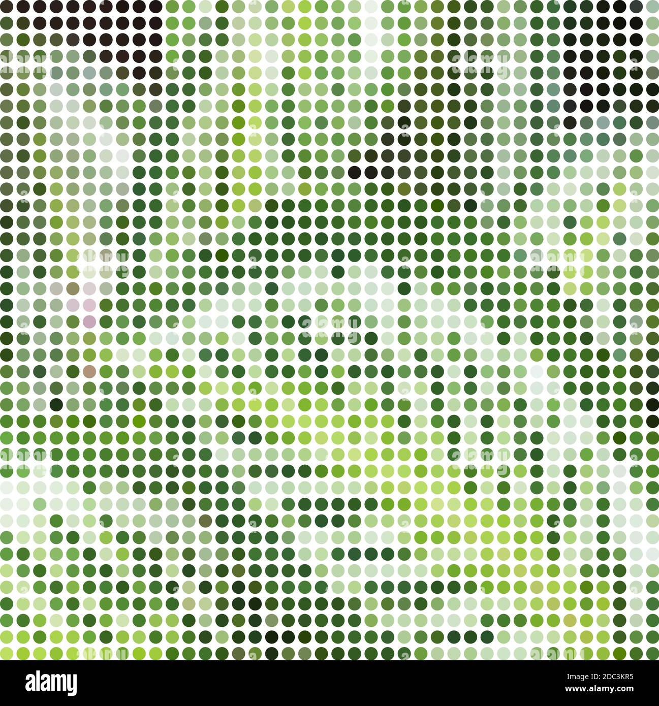 a mosaic of pictures of a tropical plant leaf Stock Vector Image & Art ...