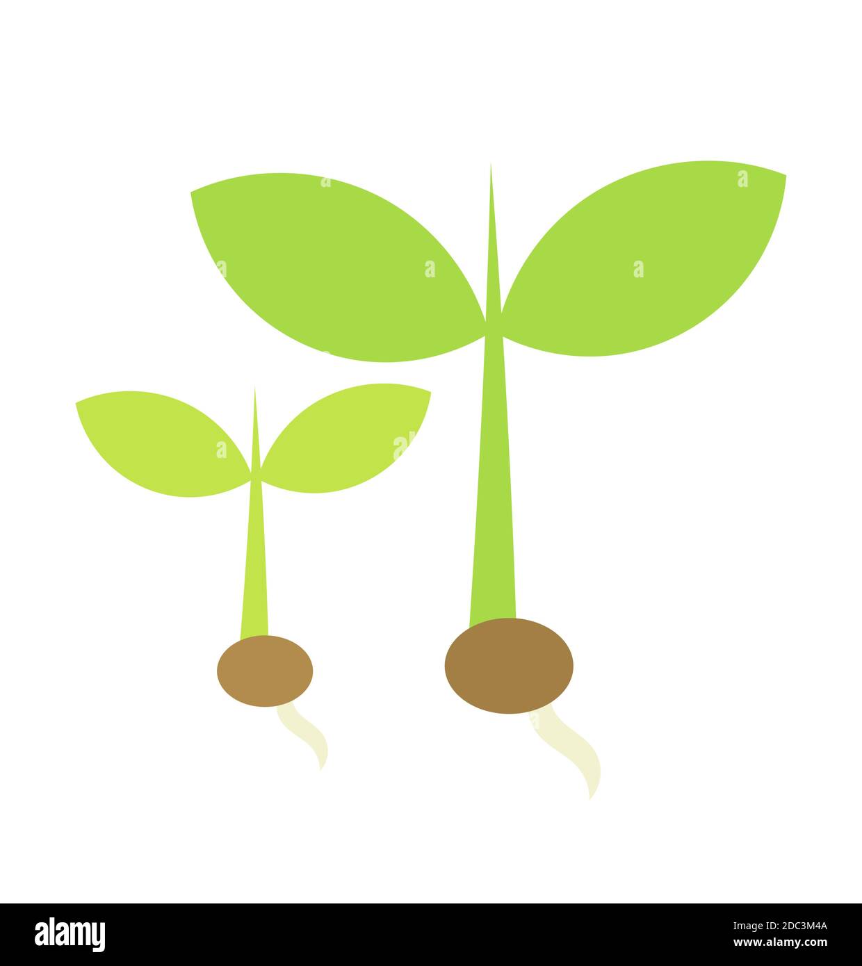 Baby Seedling Clipart