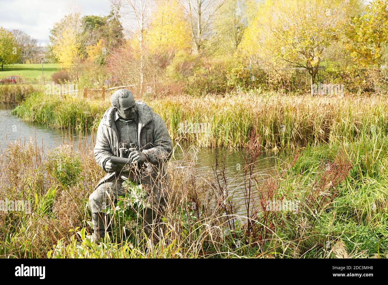 A statue of conservationist Sir Peter Scott at the London Wetland ...