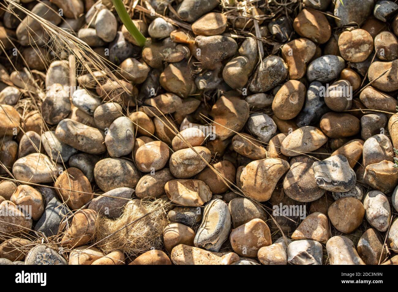 Abstract of dry pebbles and grass stem Stock Photo - Alamy