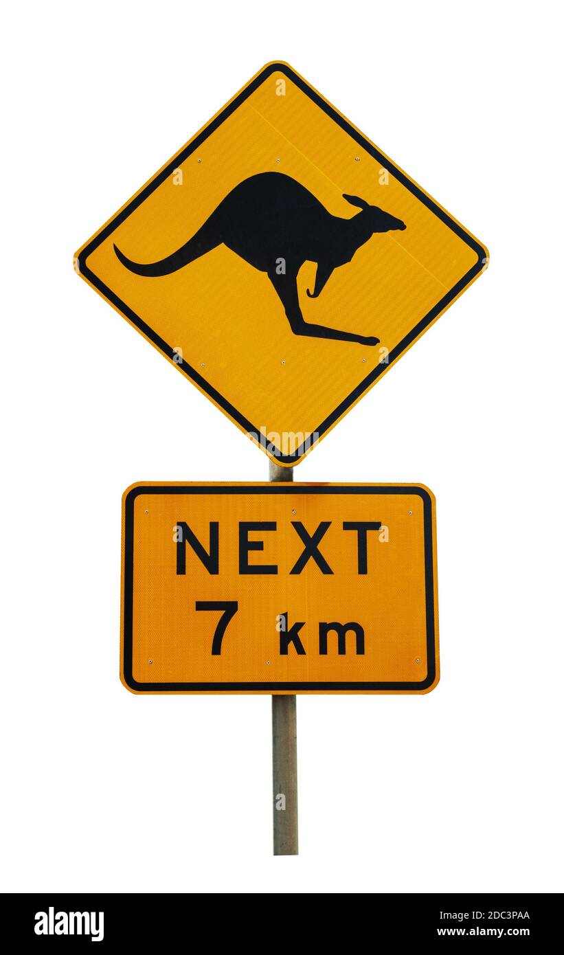 Australian sign of kangaroo crossing the road isolated on white Stock ...