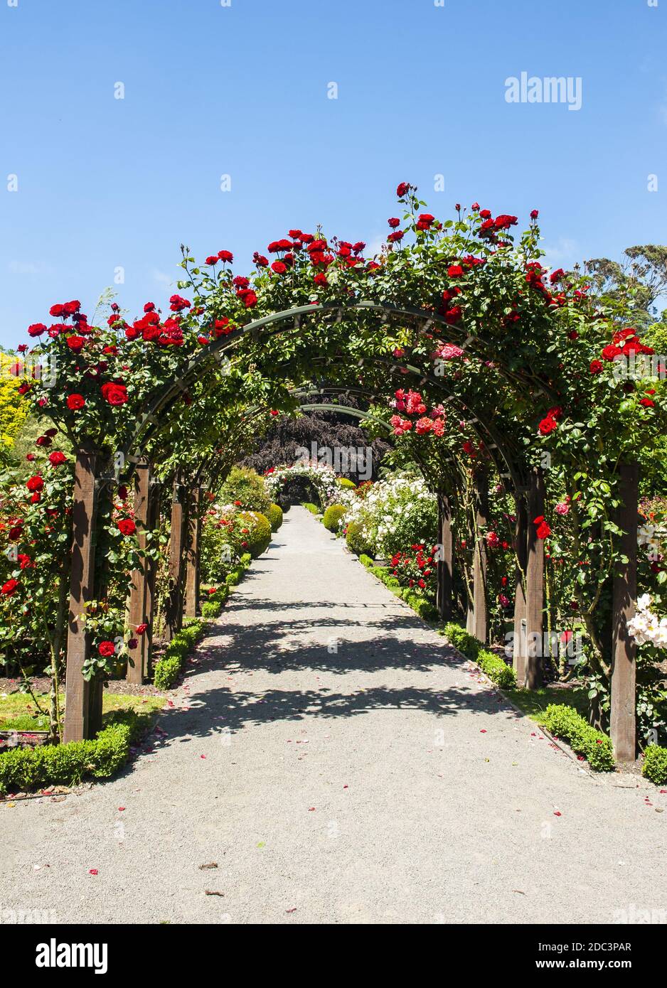 Garden path flowers australia hi-res stock photography and images - Alamy