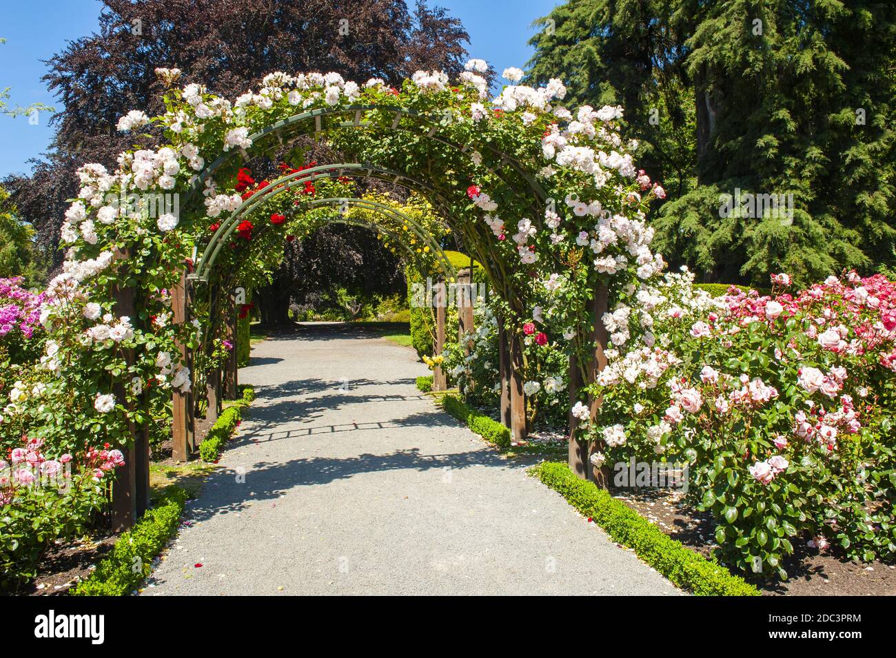 Garden Path Flowers Australia High Resolution Stock Photography and ...