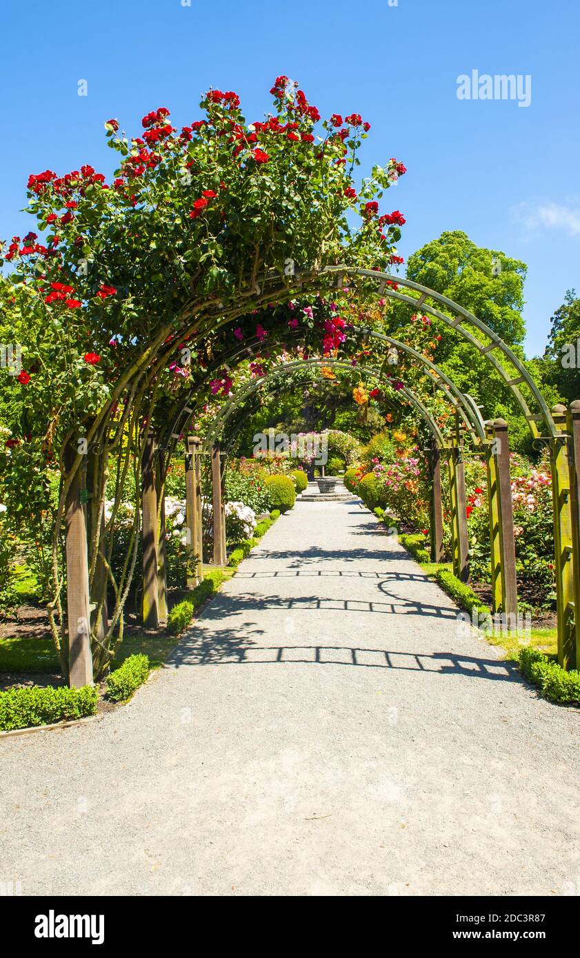 Garden path flowers australia hi-res stock photography and images - Alamy