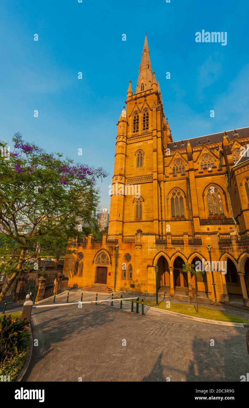 St. Mary's Cathedral in Sydney, Australia Stock Photo - Alamy