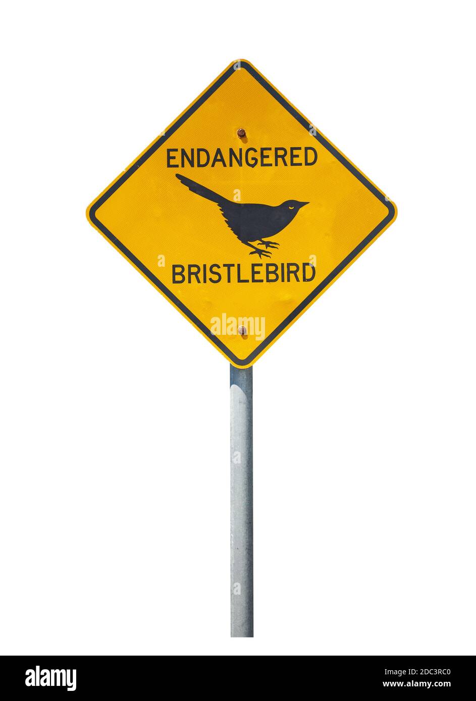 Australian sign of endangered bristlebird crossing the road isolated on ...