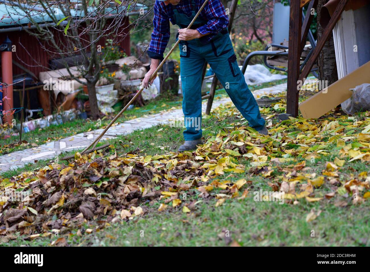The traditional way of raking autumn leaves in the garden in the ...