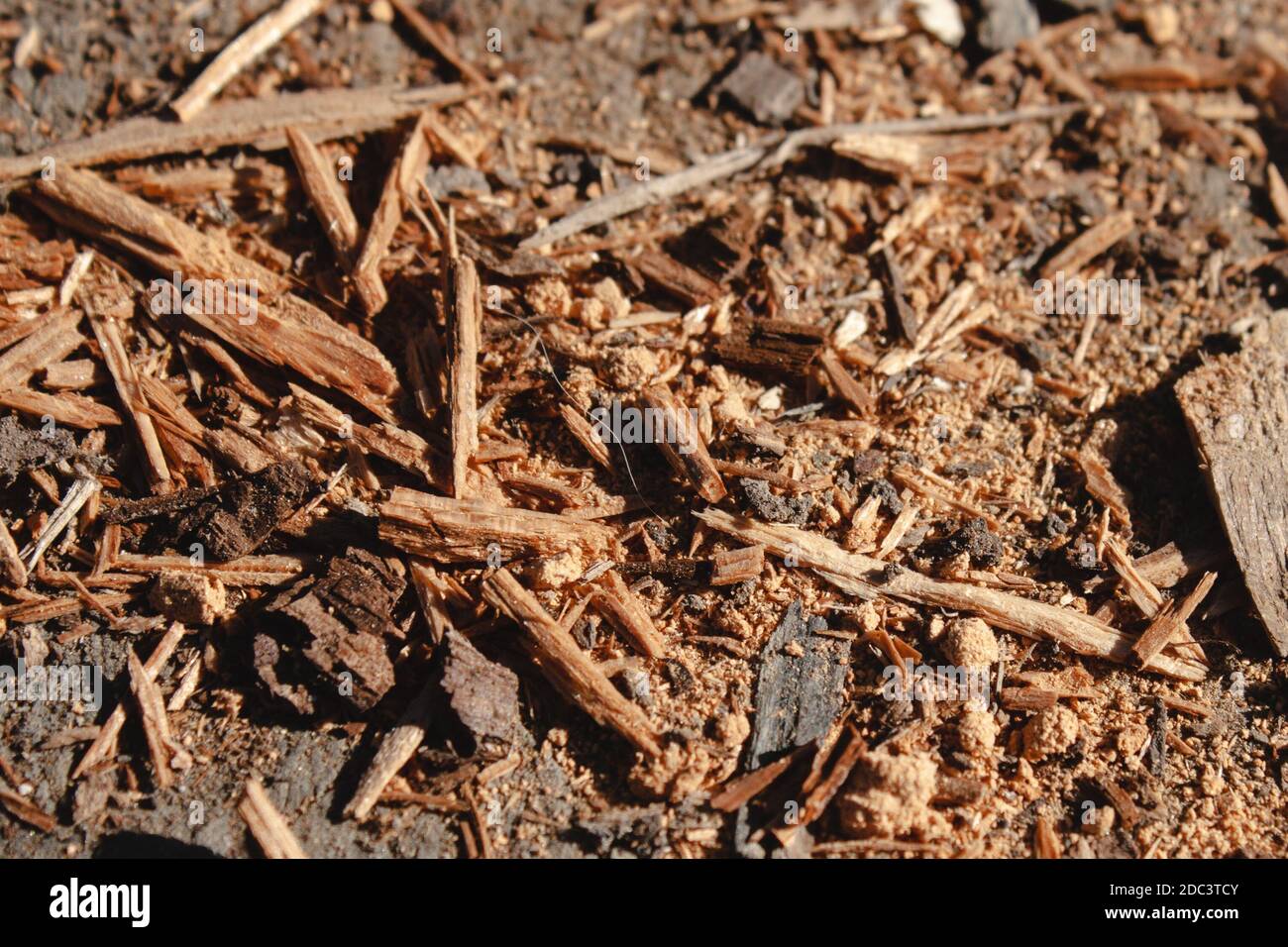 Wood sliver with sawdust abstract texture Stock Photo - Alamy