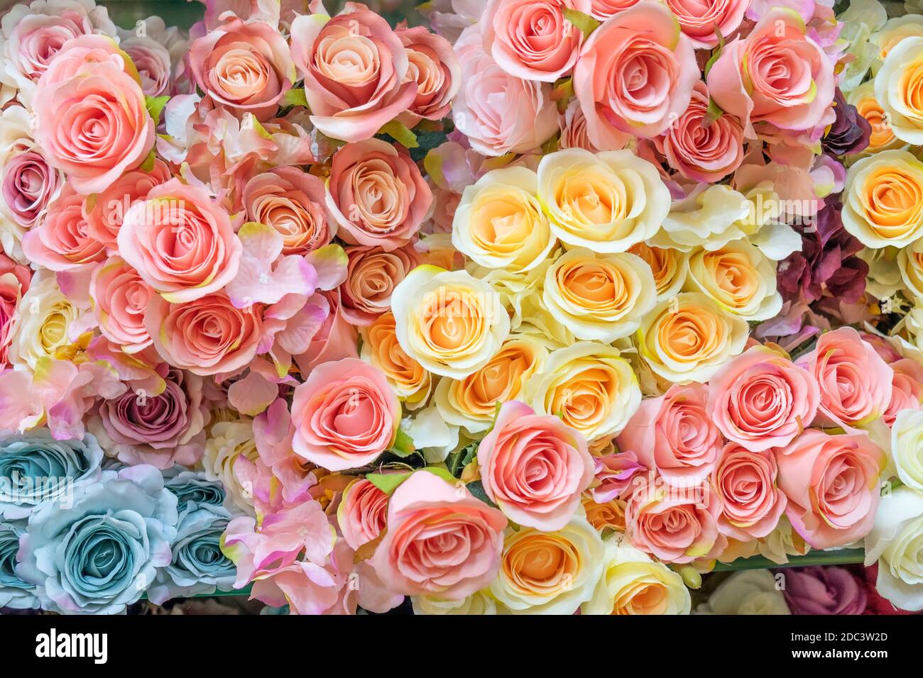 Pink roses bouquet background set hi-res stock photography and images ...