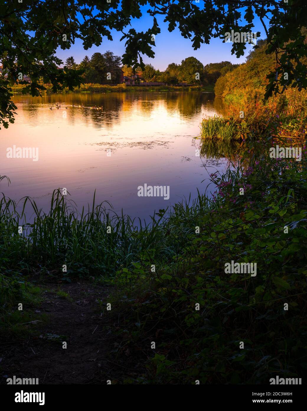 Mersey river forest reserve hi-res stock photography and images - Alamy