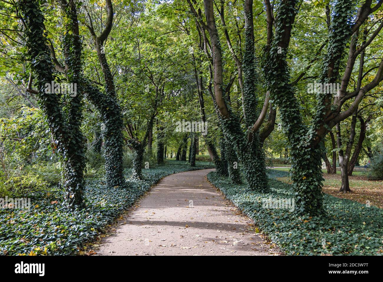 Alley in Lazienkowski Park also called Lazienki Park - Royal Baths ...