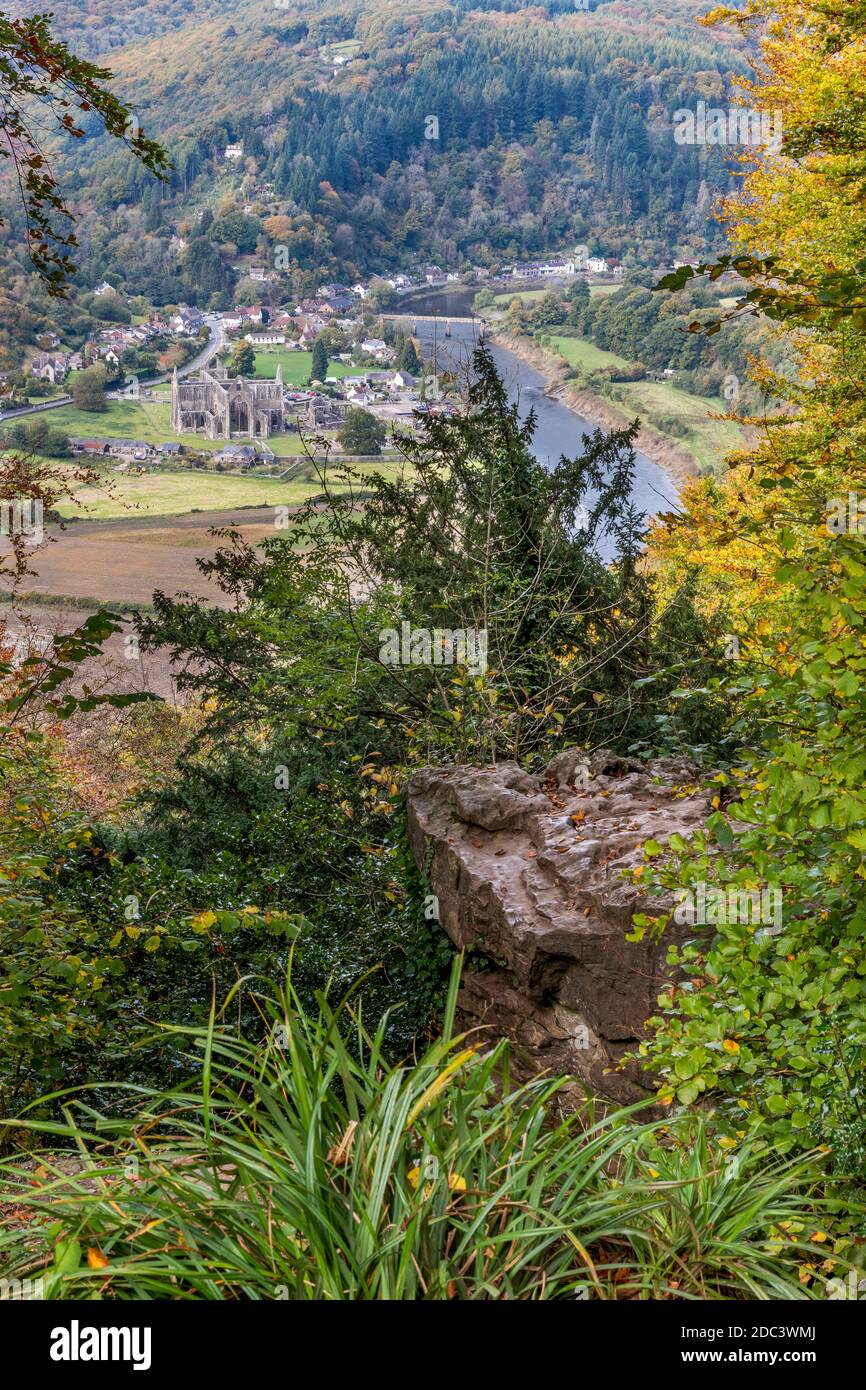 Looking down on Tintern Abbey in the Wye Valley from the Devil's Pulpit ...