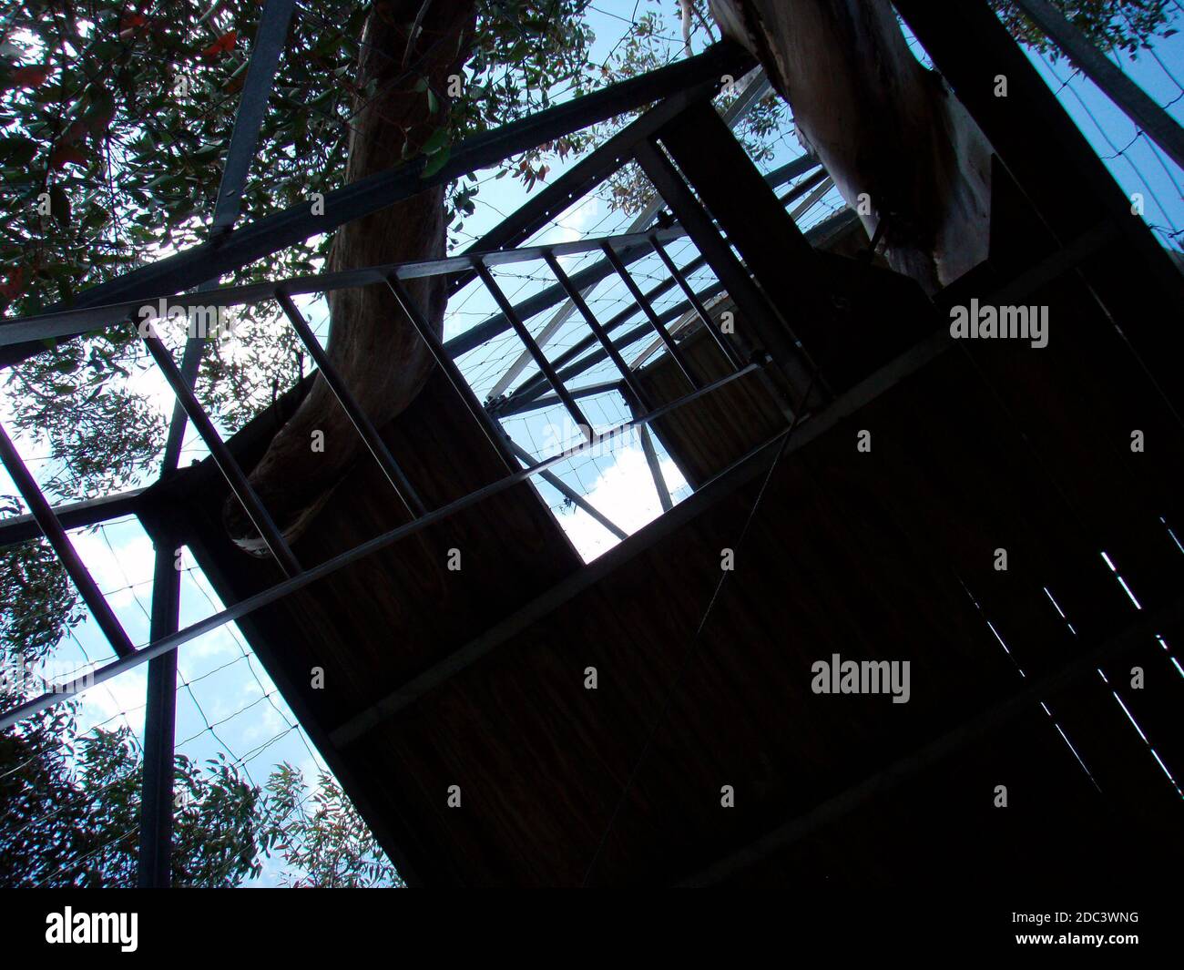 tree house in wood construction, futuristic and experimental building ...