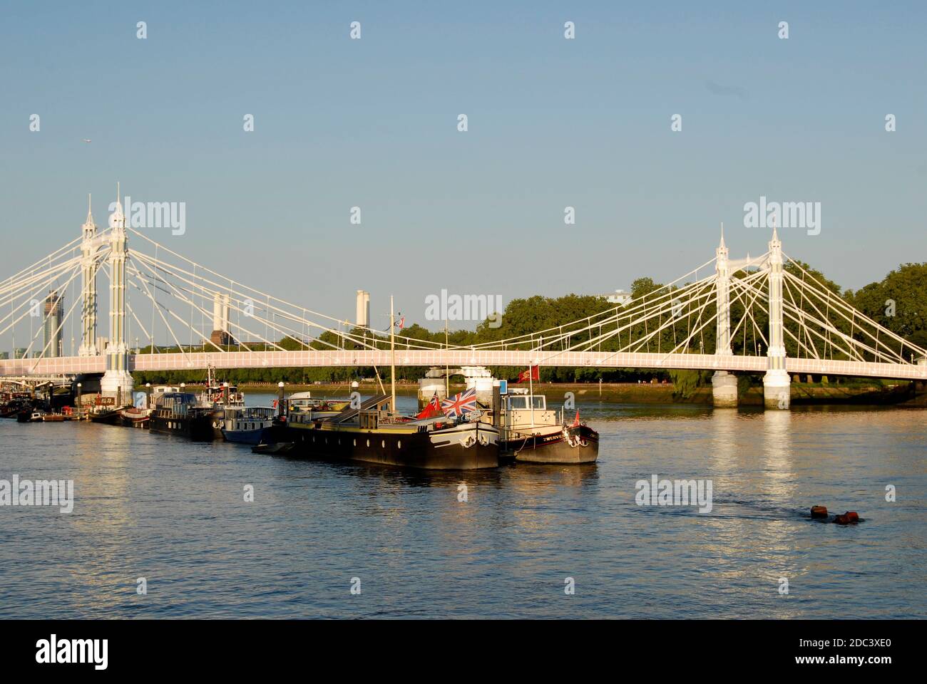 Prince Albert Bridge Stock Photo - Alamy