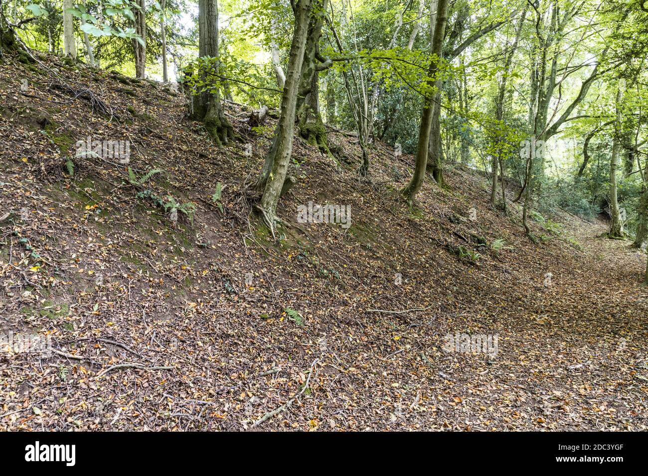 Offas Dyke Path running alongside a section of Offas Dyke above Tintern ...