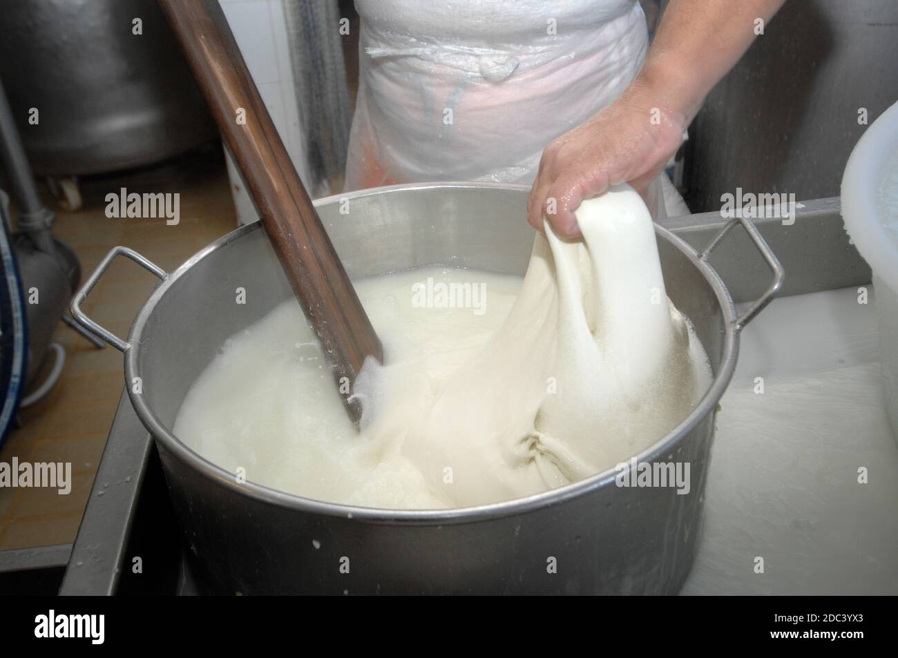 mozzarella cheese maker during the preparation of the filate pasta for ...