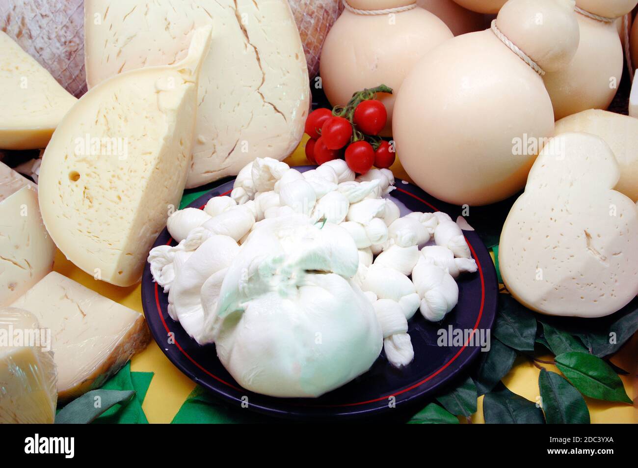 cheeses from Apulia region called provola and caciocavallo, burrata and ...
