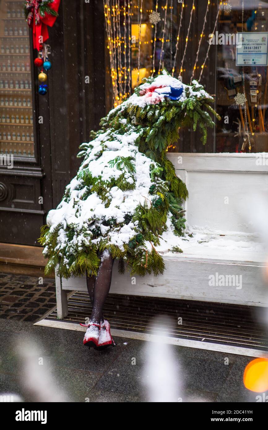 christmas tree with woman legs sitting on wooden bench holidays time ...