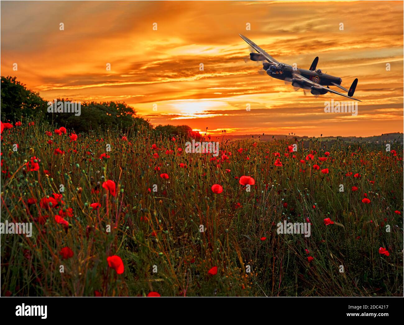 Remembrance day display hi-res stock photography and images - Alamy