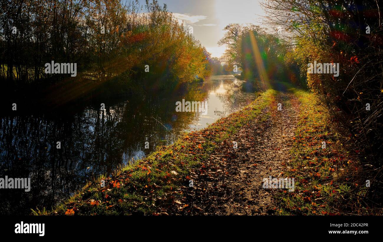 Autumn colours in the early morning Stock Photo - Alamy