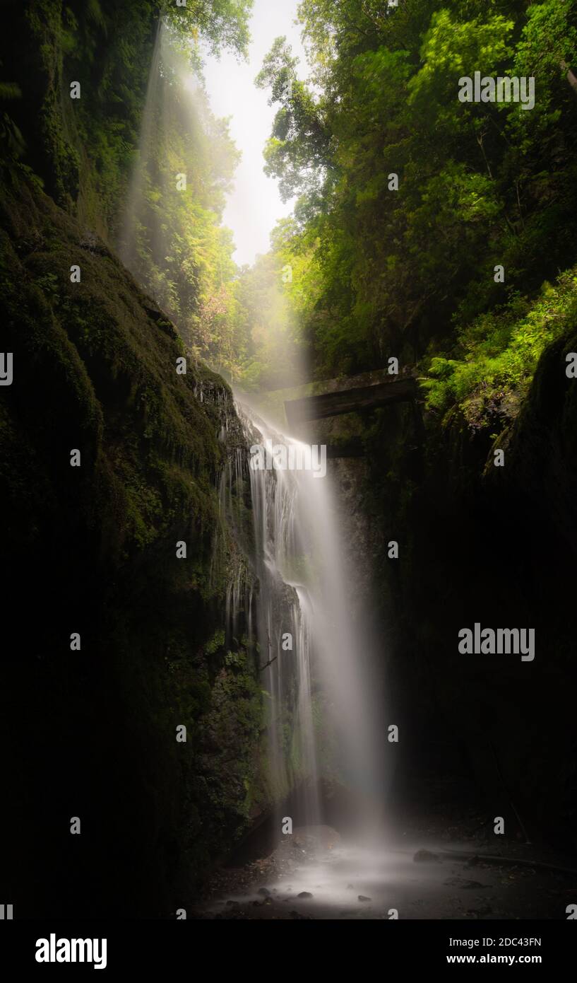 Light coming from above hi-res stock photography and images - Alamy