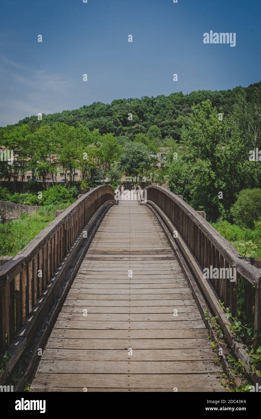 wooden path with trees and a blue sky Stock Photo - Alamy