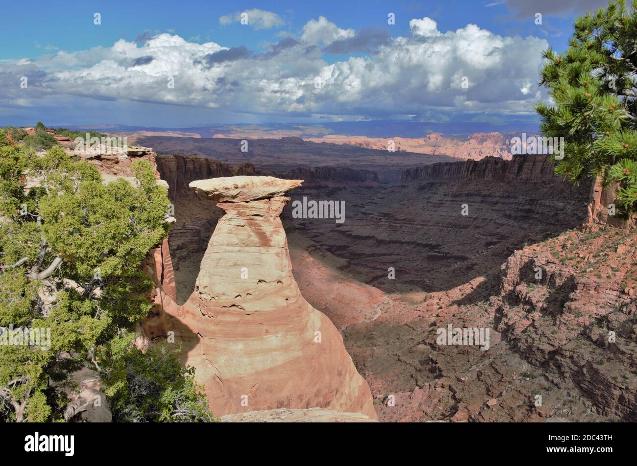 Long Canyon panorama Stock Photo - Alamy