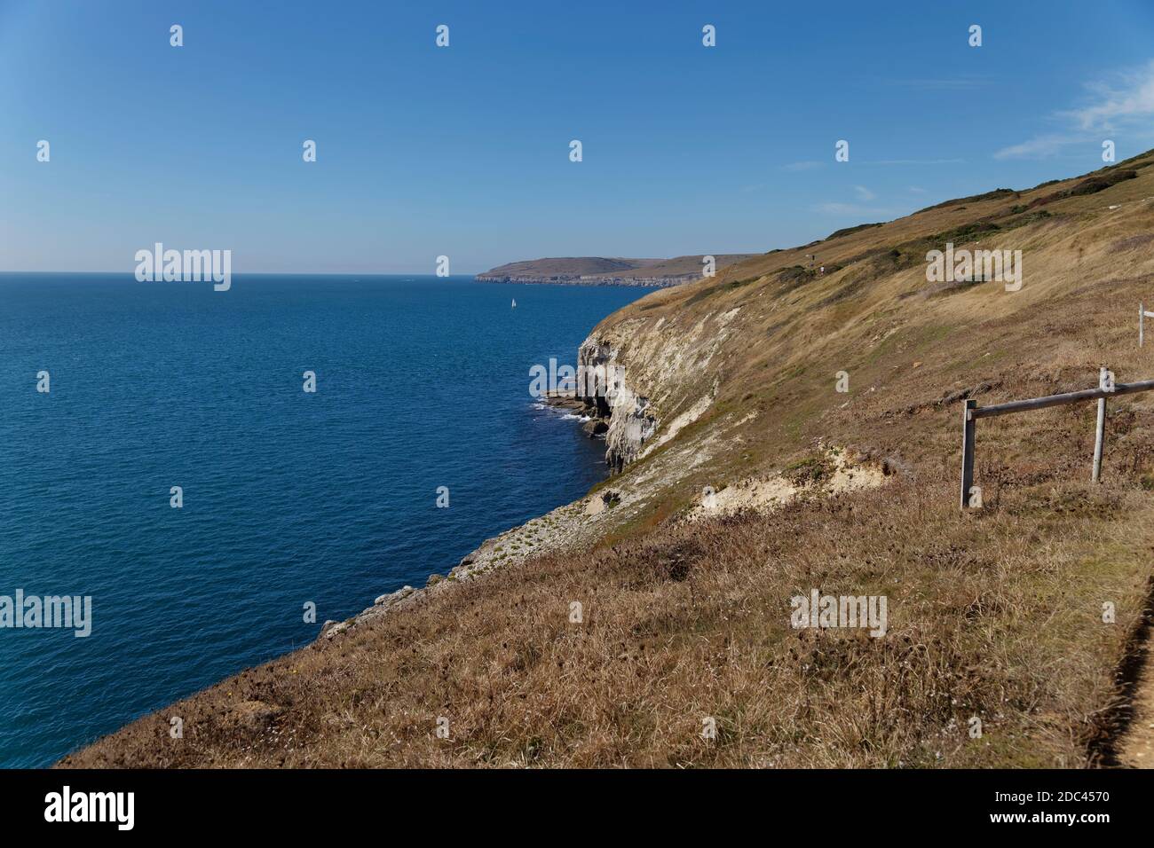 Coastal path to Dancing Ledge Durlston Country Park Dorset Stock Photo ...