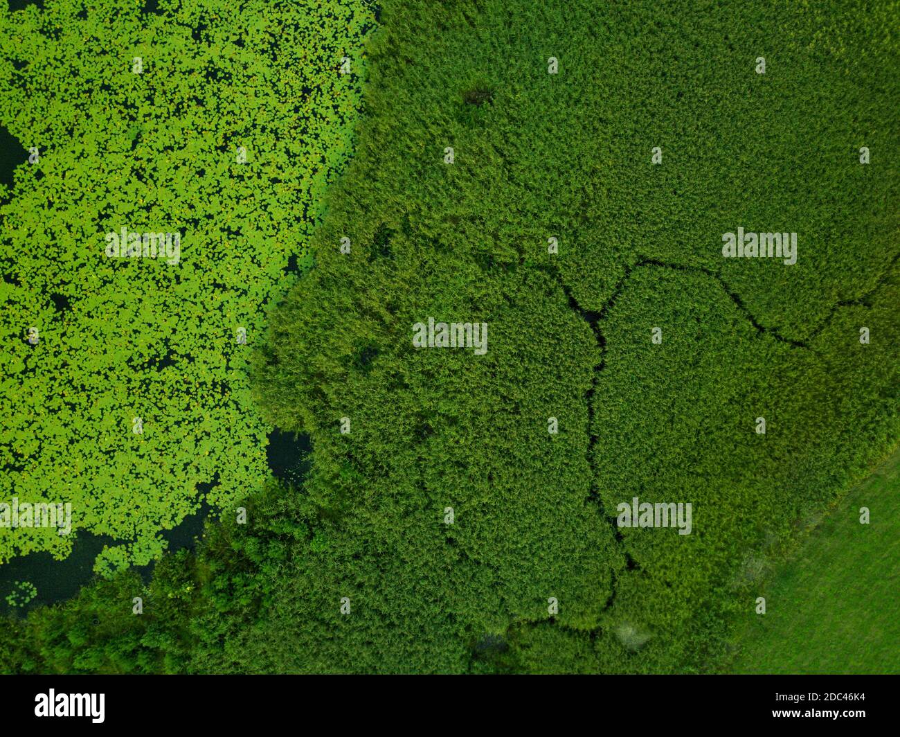 Ecosphere hi-res stock photography and images - Alamy