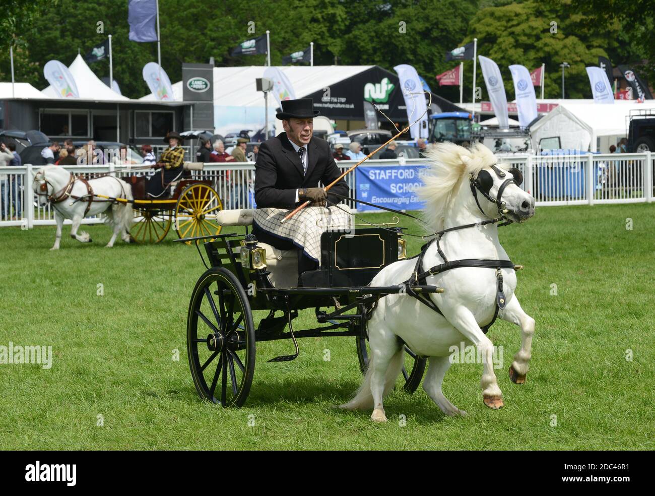 Frisky pony... Man driving horse and rig British Driving Society Show ...
