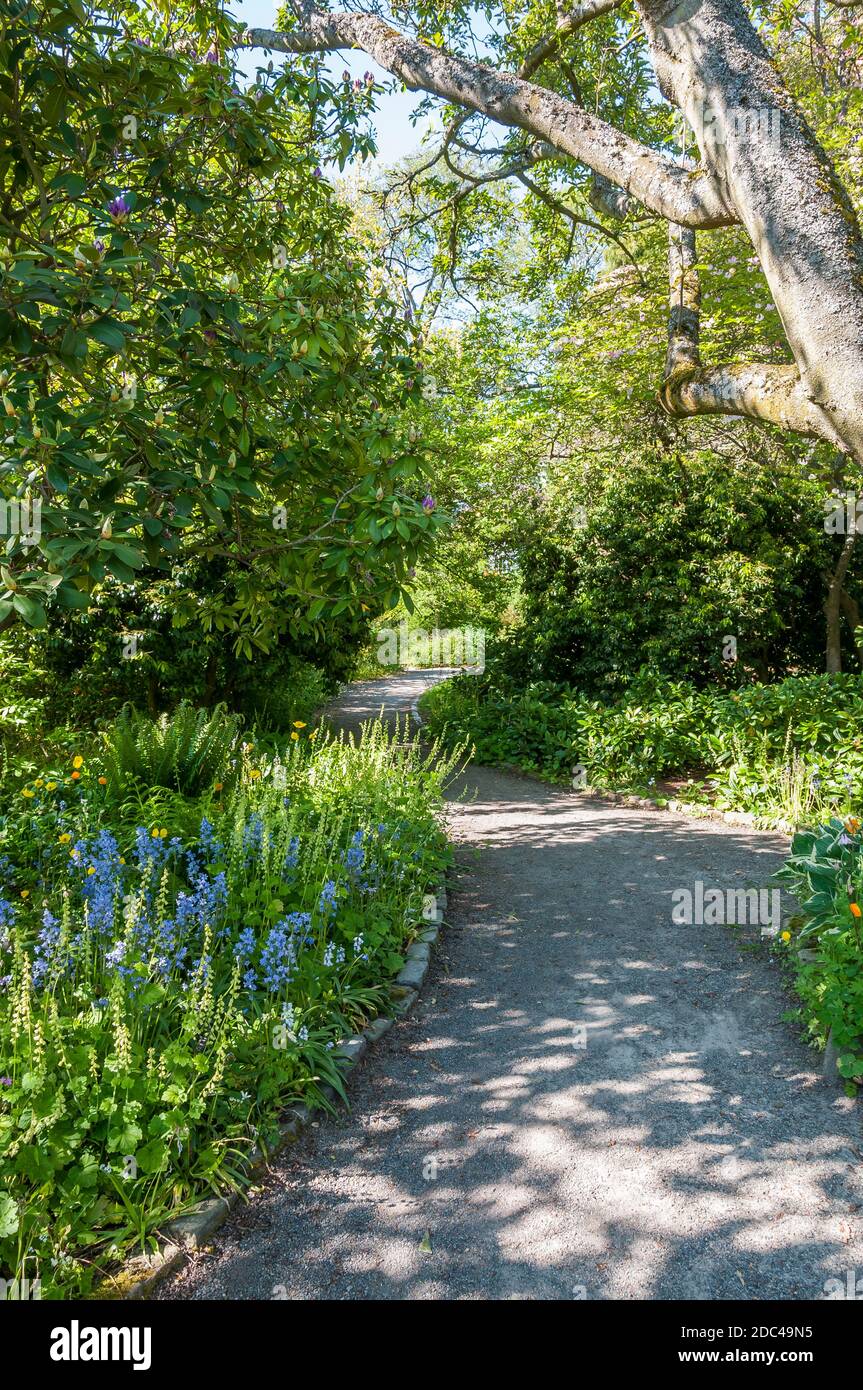 A park foot path in Queen Anne, Seattle, Washington Stock Photo - Alamy
