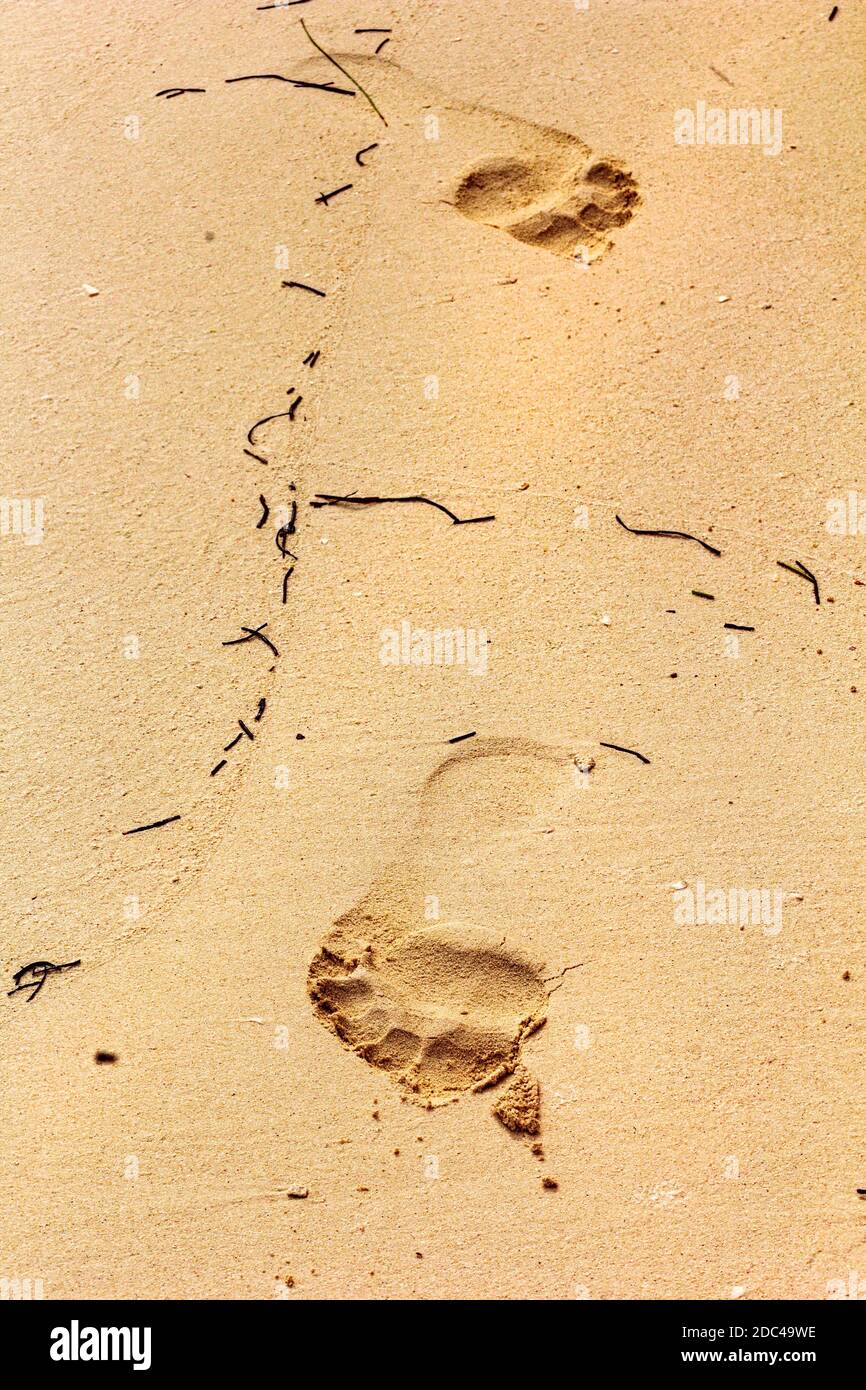 Soft footprints in sand at sunny happy day Stock Photo - Alamy