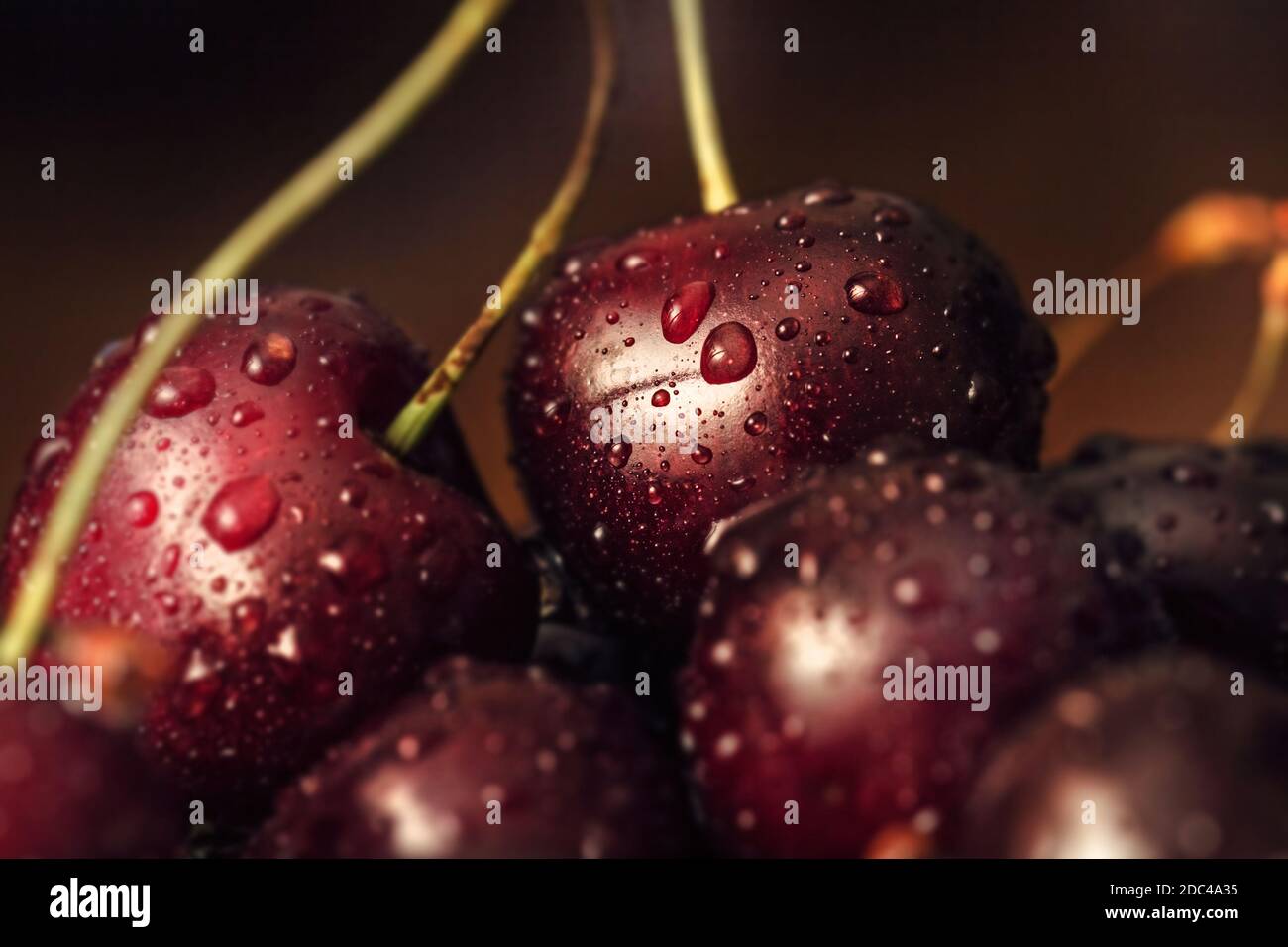 Fresh ripe dark red cherry berries for tasty vitamin eating Stock Photo ...