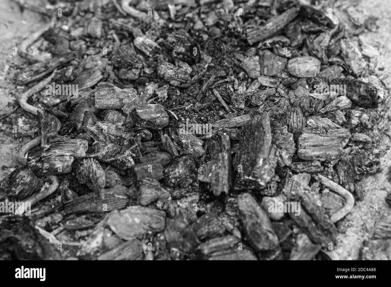 Glowing organic Black and White Stock Photos & Images - Alamy