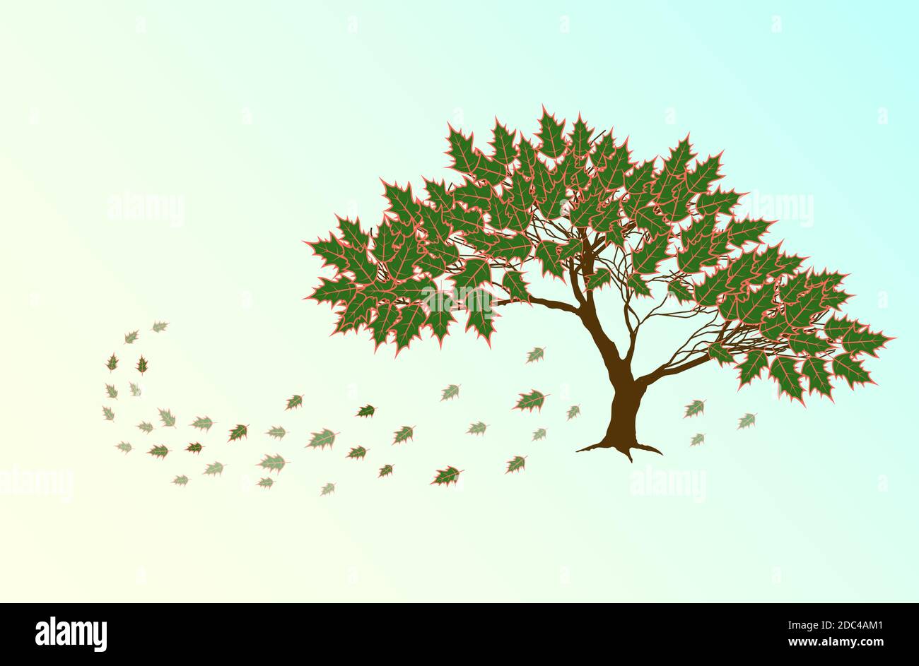 Oak Tree Drawing High Resolution Stock Photography and Images - Alamy