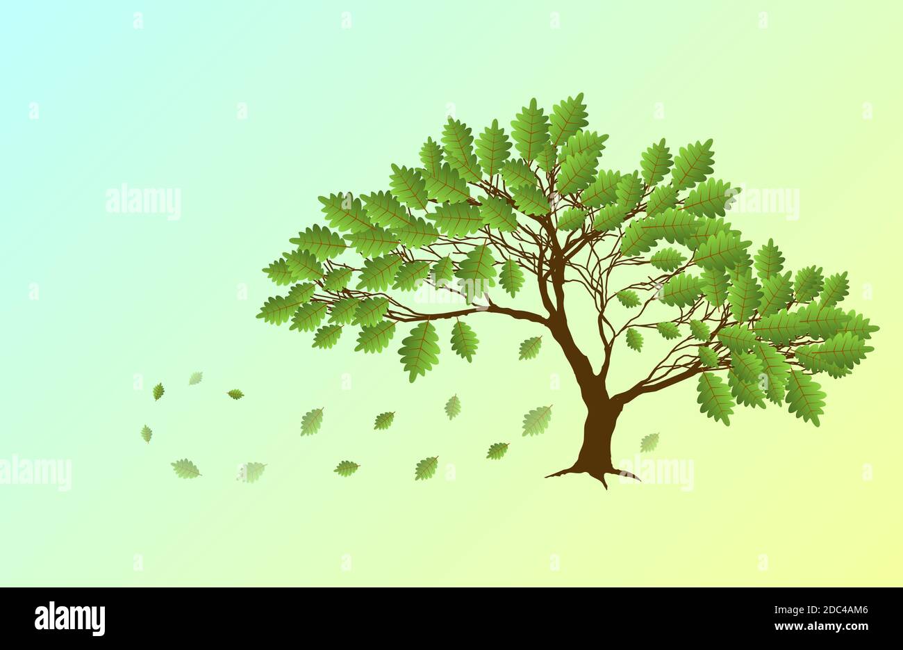 English oak branch Stock Vector Images - Alamy