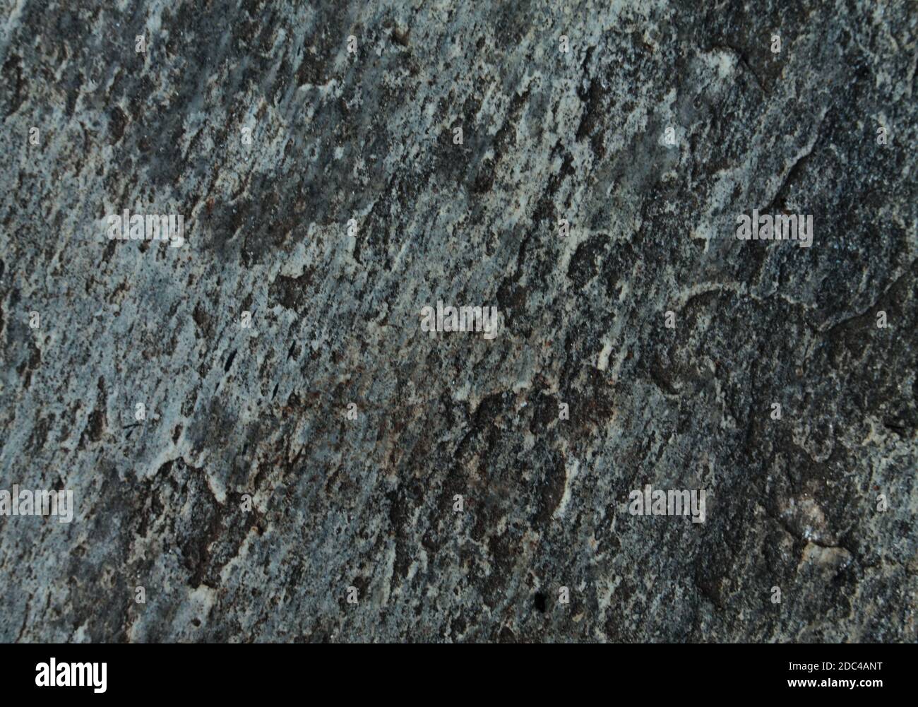 Albero texture hi-res stock photography and images - Alamy