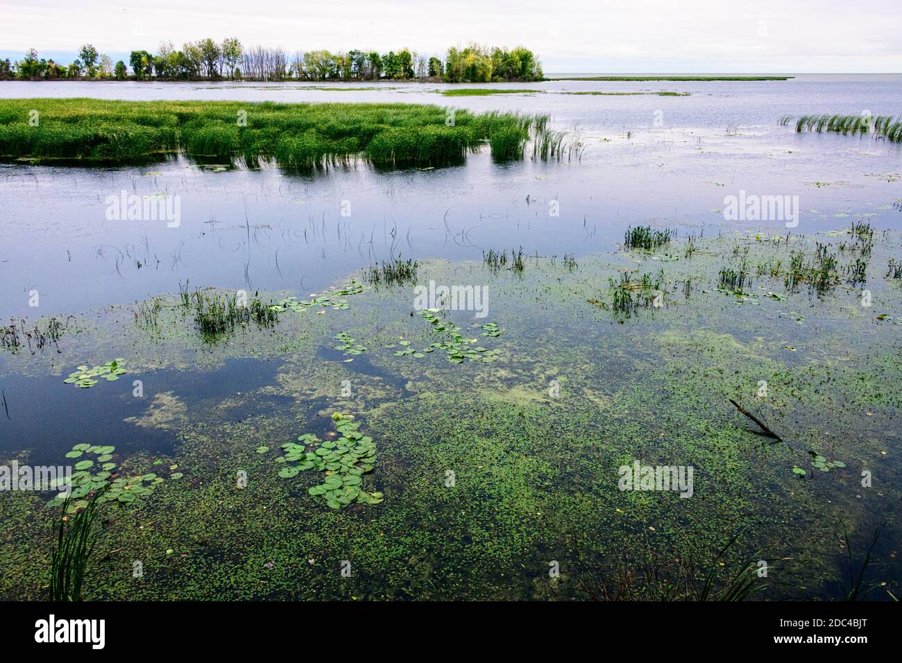 Pinconning park hi-res stock photography and images - Alamy