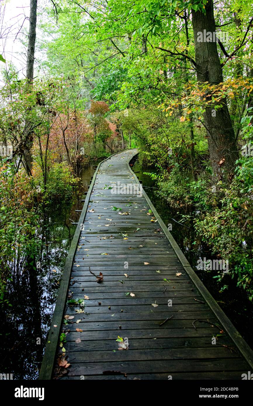 Pinconning park hi-res stock photography and images - Alamy