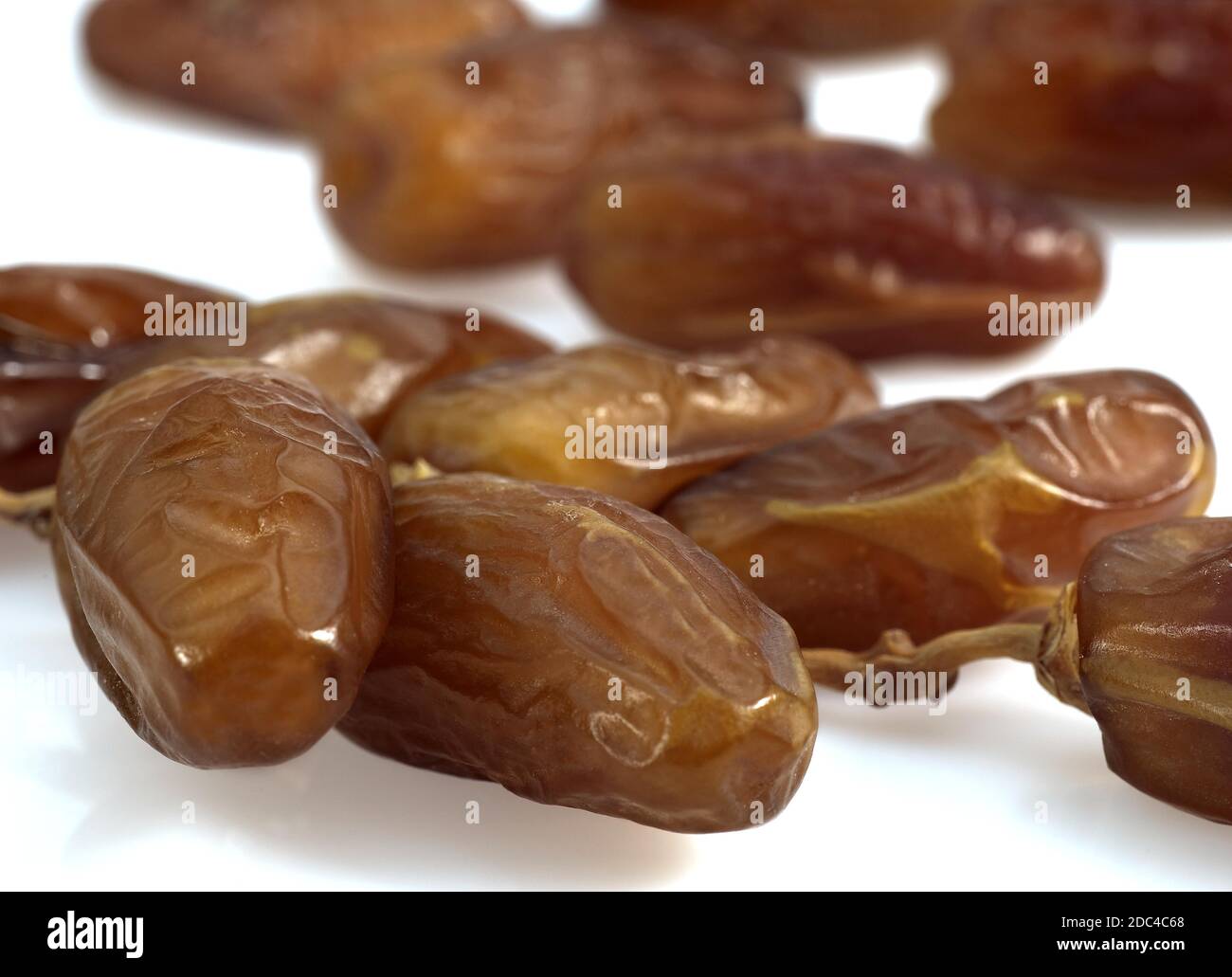 DRY DATE PALM FRUIT phoenix dactylifera AGAINST WHITE BACKGROUND Stock Photo - Alamy